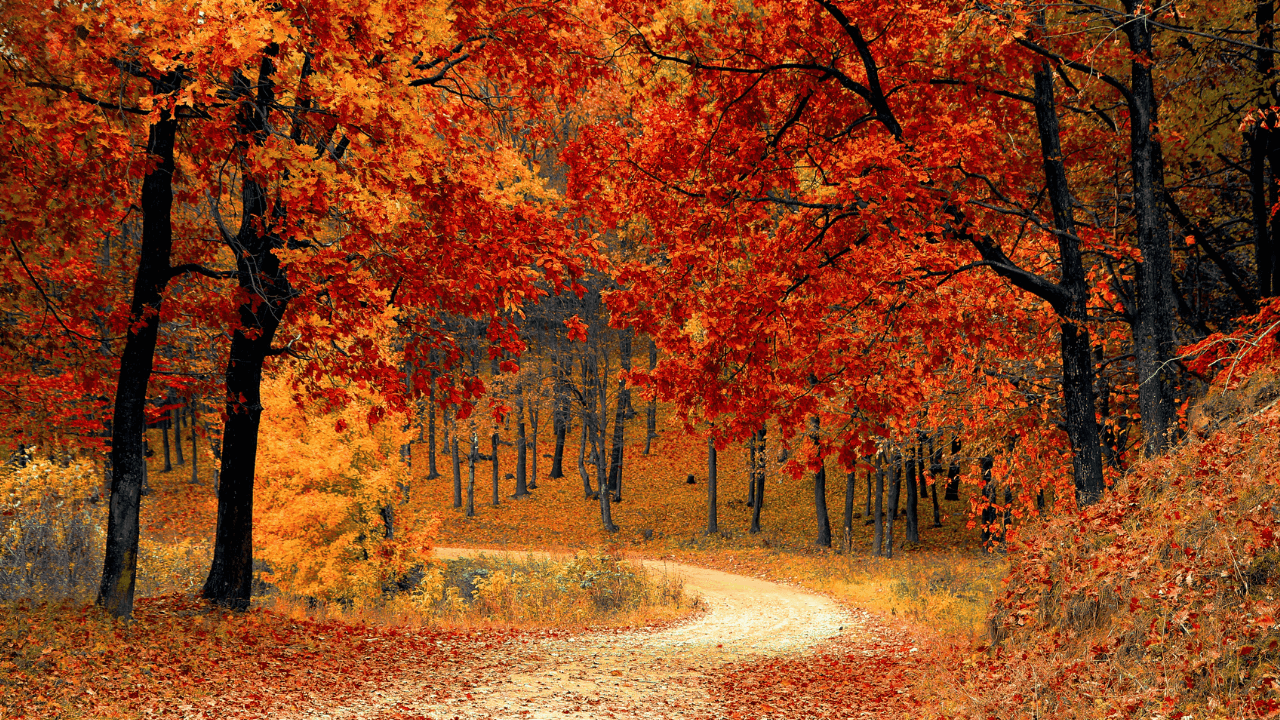 STYLE Site | Seasonal Color Analysis: The 4 Autumn Seasons Explained